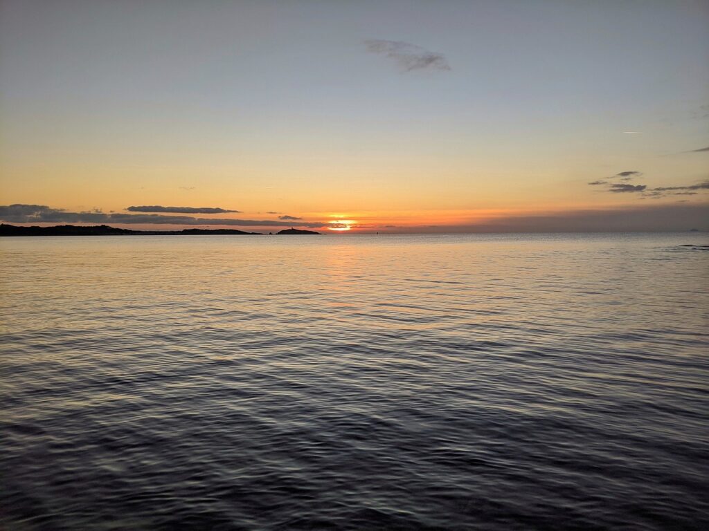 Best Spice Farm in Goa – Explore Nature's Aromatic Treasure